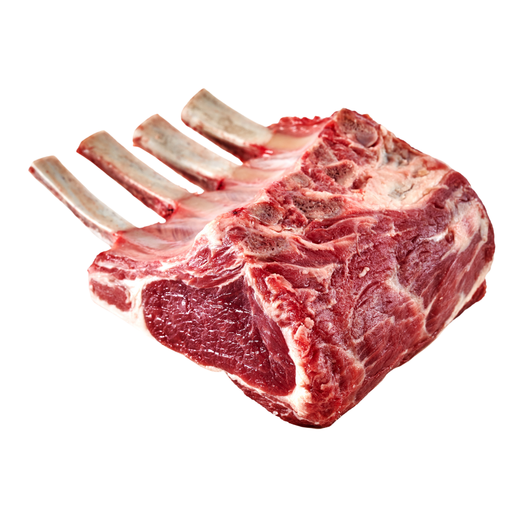 The Kosher Marketplace | Standing Frenched Bone-In Tied Beef Rib Roast